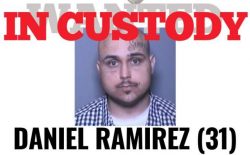 The SAPD has arrested assault suspect Daniel Ramirez - New Santa Ana