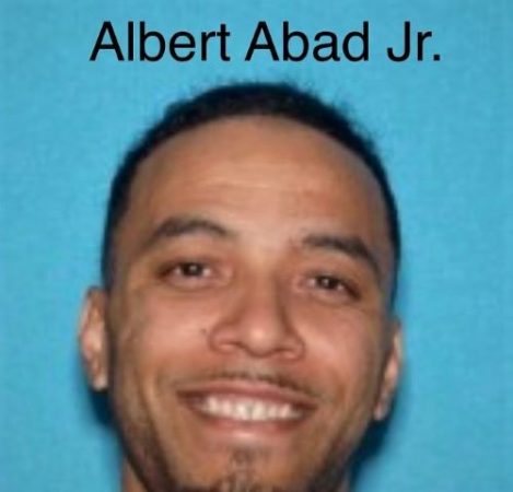 Anaheim dog-beating suspect turns himself into the police and is facing ...