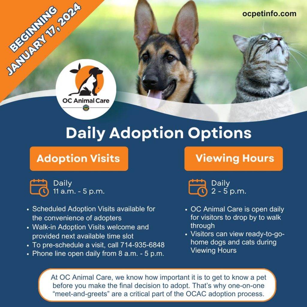OC Animal Care announces daily adoption options - New Santa Ana