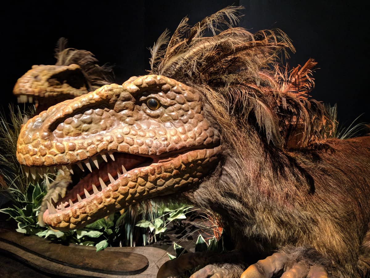 Dino Quest is coming to the Discovery Cube OC on May 25 - New Santa Ana