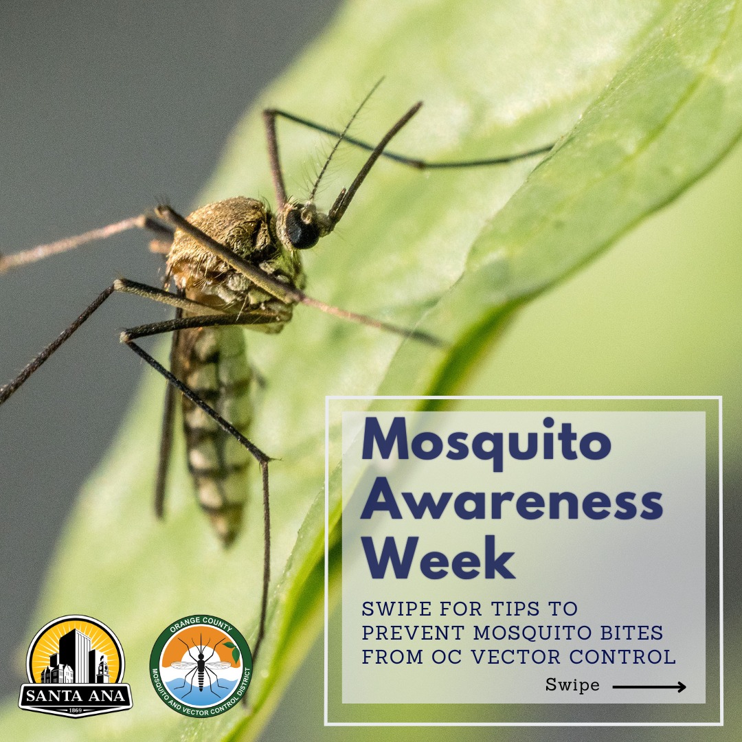 Learn how to avoid bites during O.C. Mosquito Awareness Week - New ...