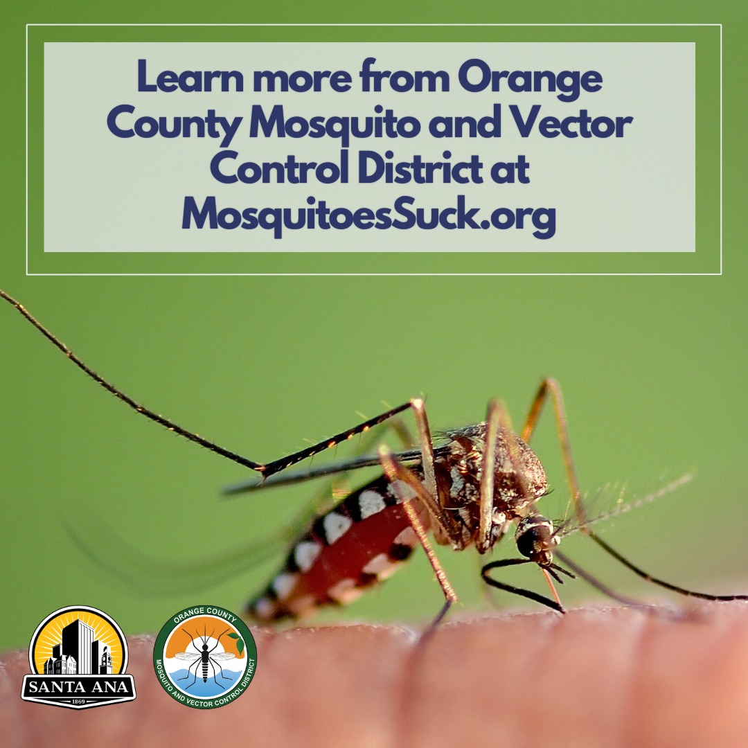 Learn how to avoid bites during O.C. Mosquito Awareness Week - New ...
