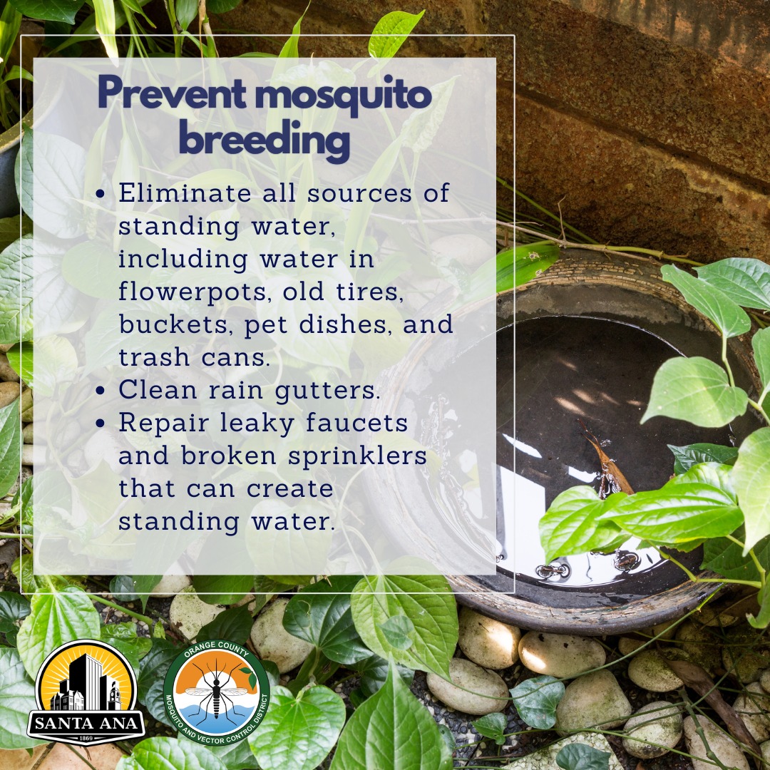 Learn how to avoid bites during O.C. Mosquito Awareness Week - New ...