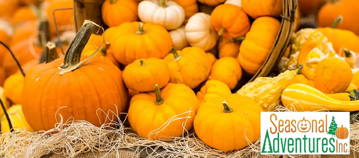 Enjoy free admission to the Pumpkin Patch at the OC Fairgrounds - New Santa Ana