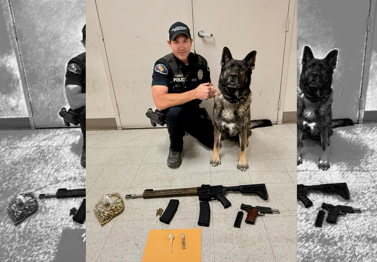 An Orange Police K9 helped find narcotics, weapons and ammo in a car ...