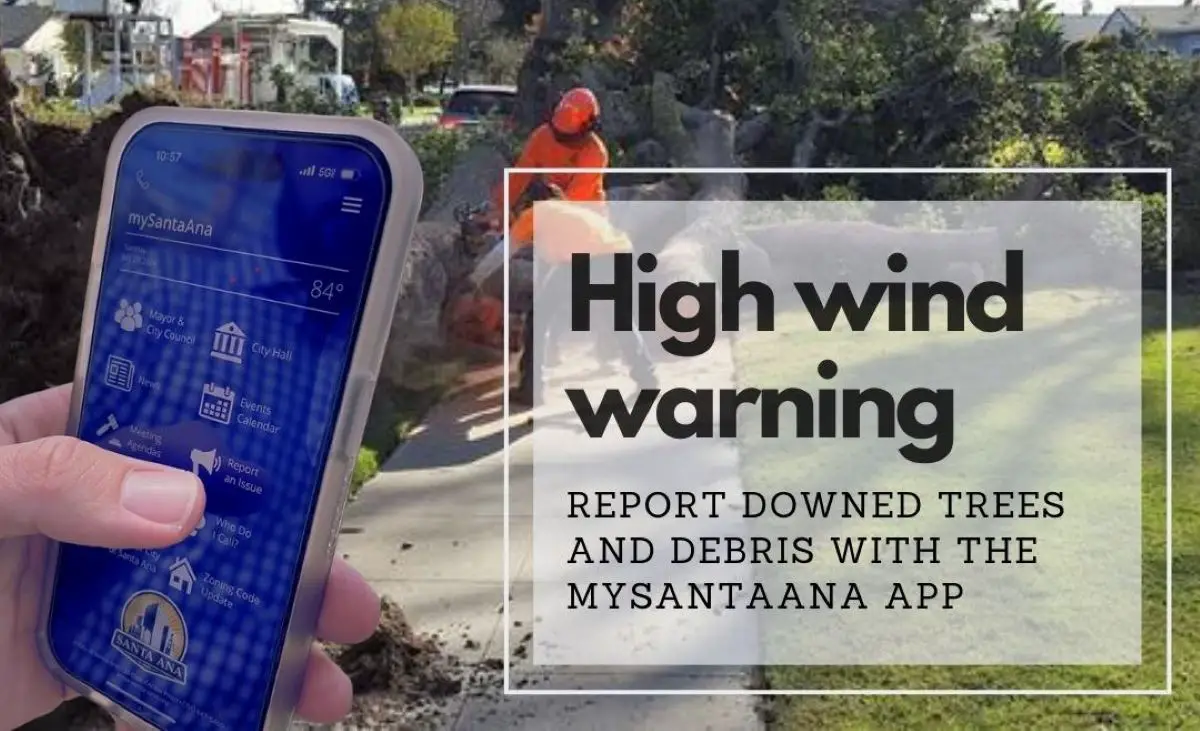 High winds to blast Orange County through Wednesday night - New Santa Ana