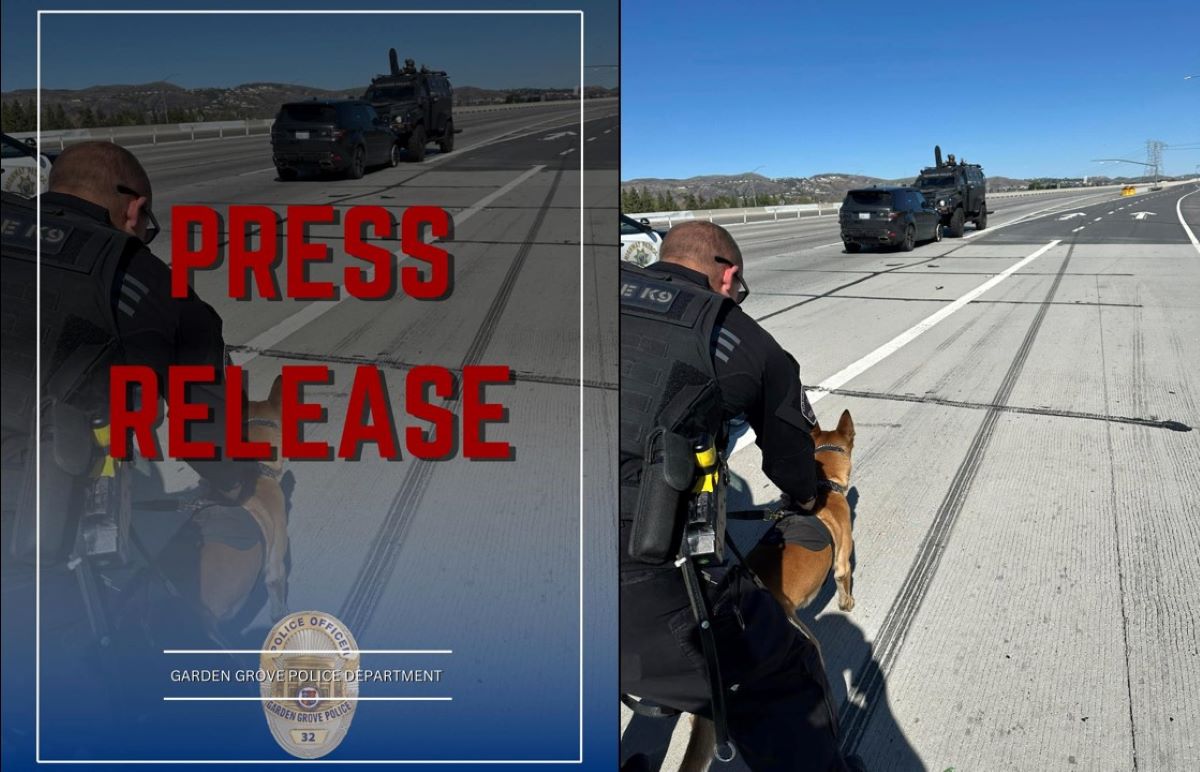 K9 police dog nabs a Santa Ana auto theft suspect who rammed police ...