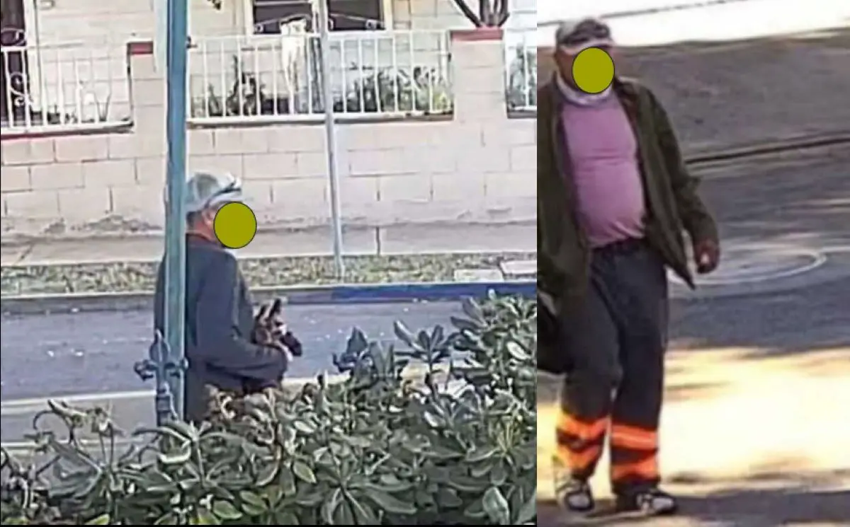 The SAPD is finally trying to track down a notorious cat killer - New Santa Ana