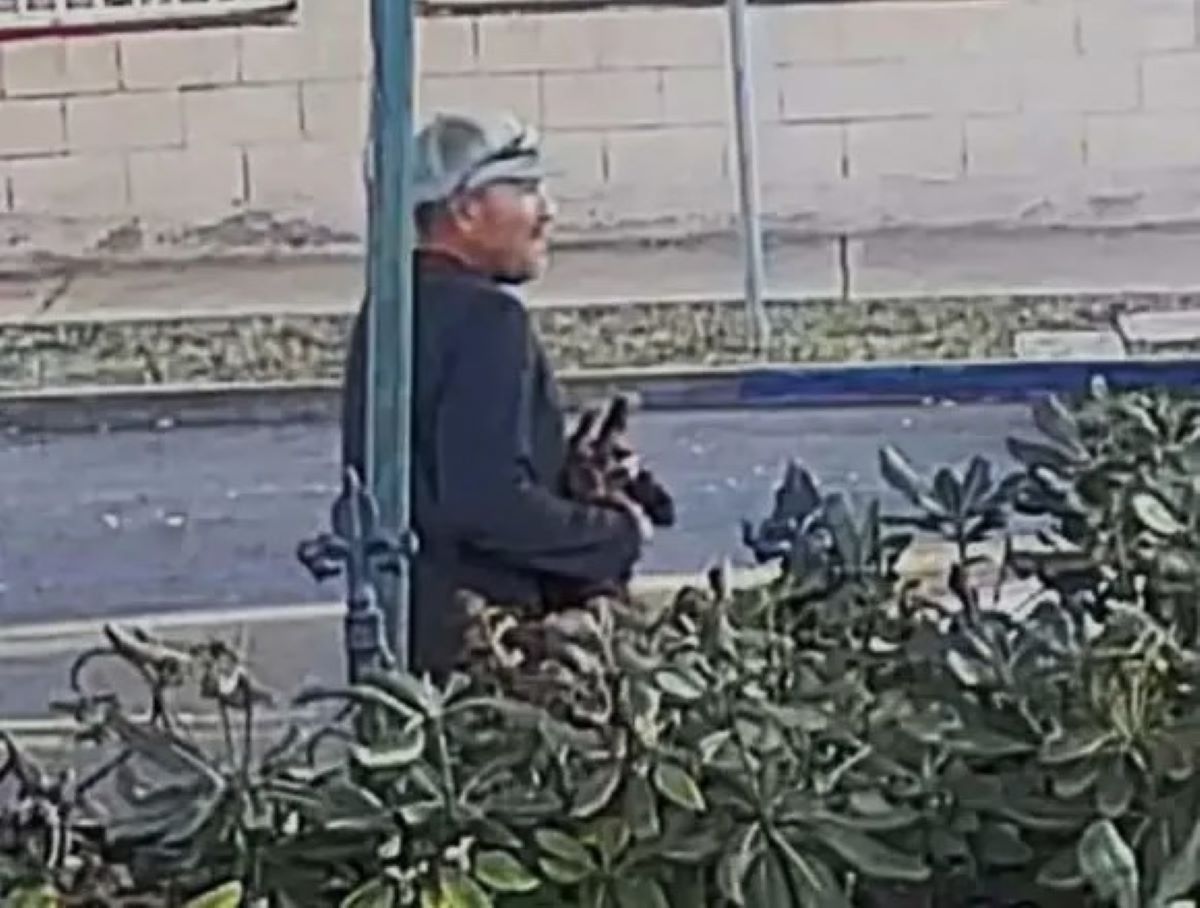 Santa Ana man charged with felony animal cruelty after luring ...