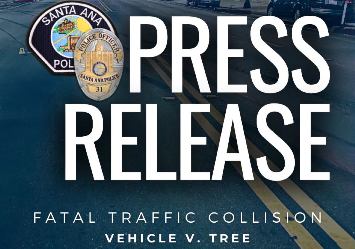 A Santa Ana man died this afternoon after crashing into a palm tree ...