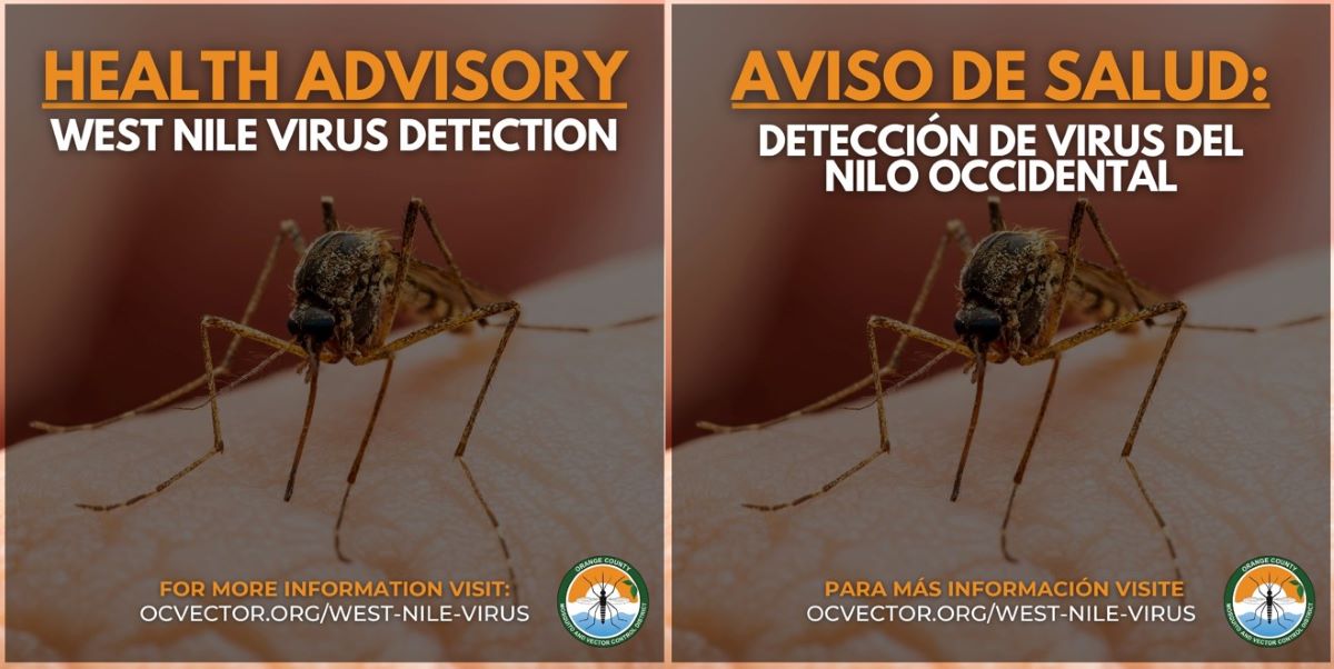 First 2025 West Nile Virus positive mosquitoes confirmed in Orange ...