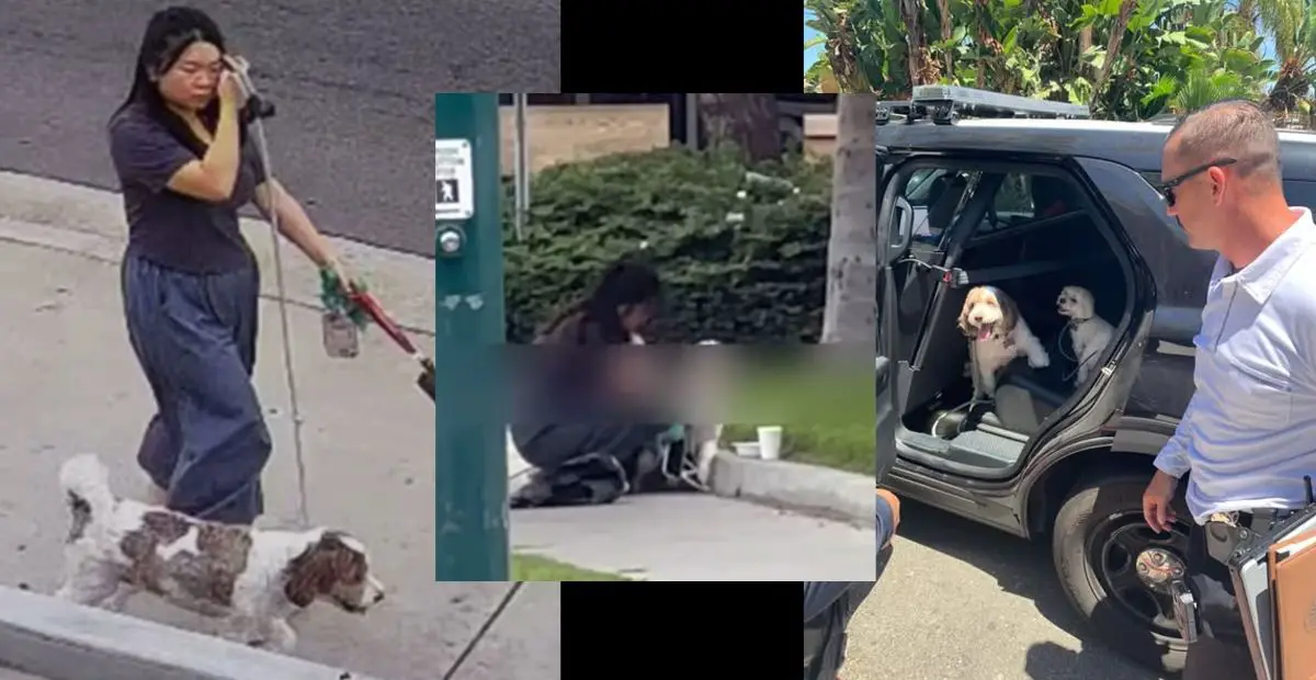 The Anaheim Police rescued two dogs from a suspected animal abuser ...